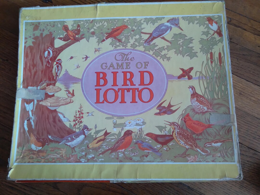 The Game of Bird Lotto Board Game 1940s Samuel Gabriel Sons and Company ...