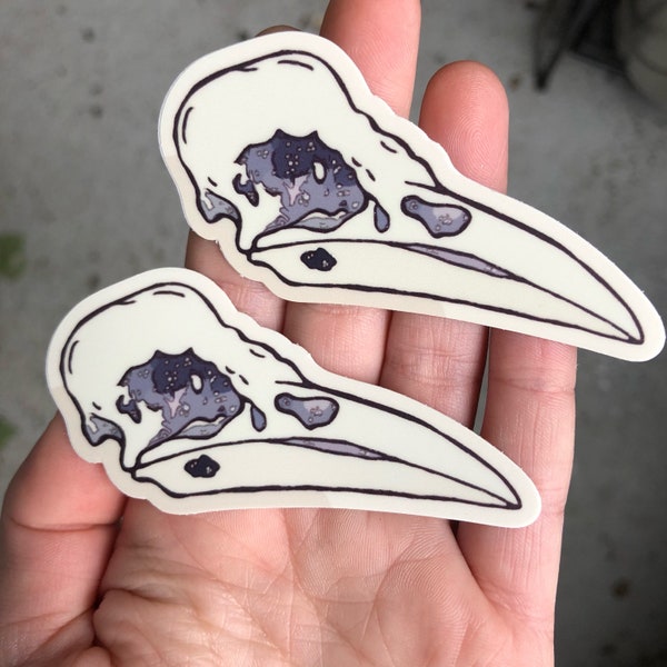 Bird Skull Drawing - Etsy