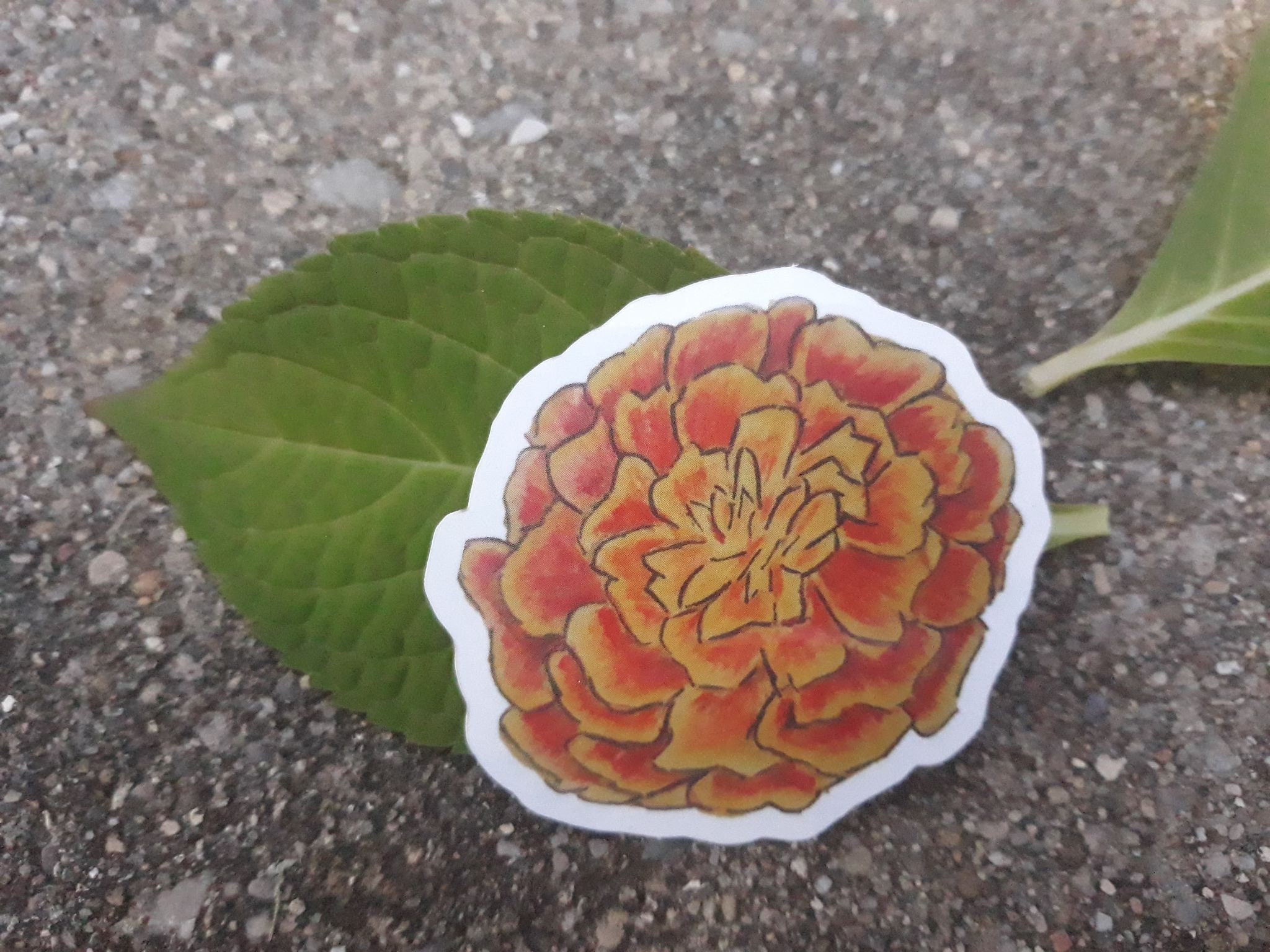 Marigold Sticker or Magnet Kids Stickers Laptop Stickers Aesthetic ...