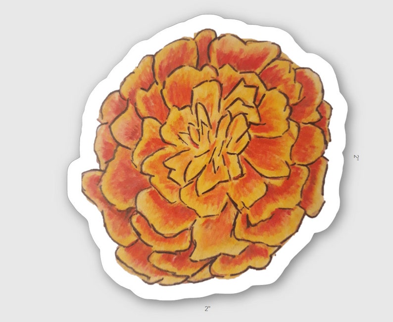 Marigold Sticker or Magnet; Kids Stickers Laptop Stickers Aesthetic ...