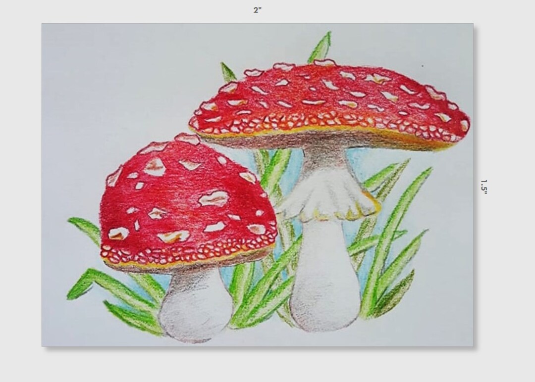 Red Cap Mushroom Sticker or Magnet; Kids Stickers Laptop Stickers ...
