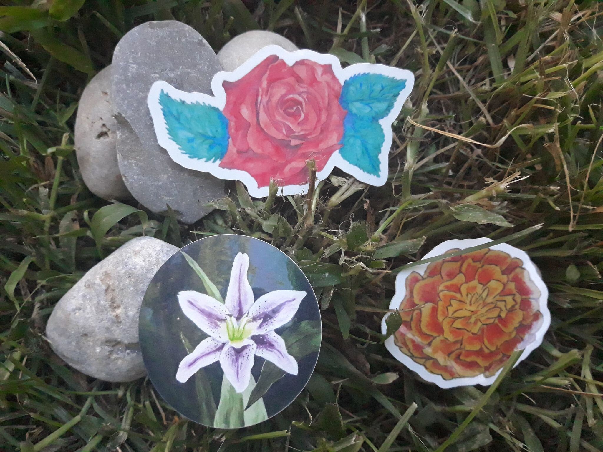 Marigold Sticker or Magnet Kids Stickers Laptop Stickers Aesthetic ...