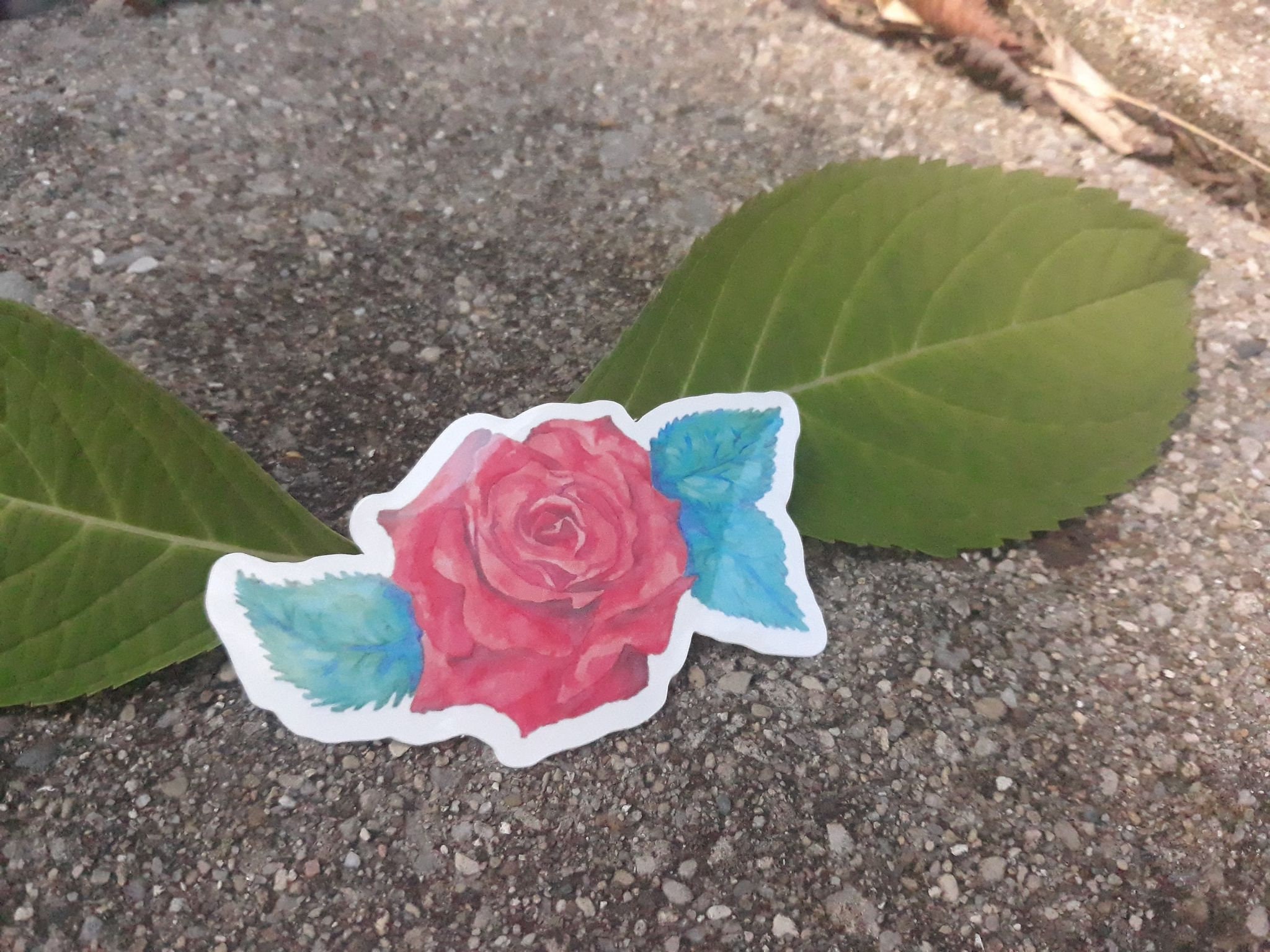 Watercolor Rose Sticker or Magnet; Kids Stickers Laptop Stickers ...