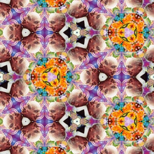 Hofmann LSD Mandala Bicycle Day Blacklight Rainbow Patch 1943 ...