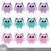 PATTERN OWLS Clip Art Digital Clipart, Instant Download, Pink Purple ...