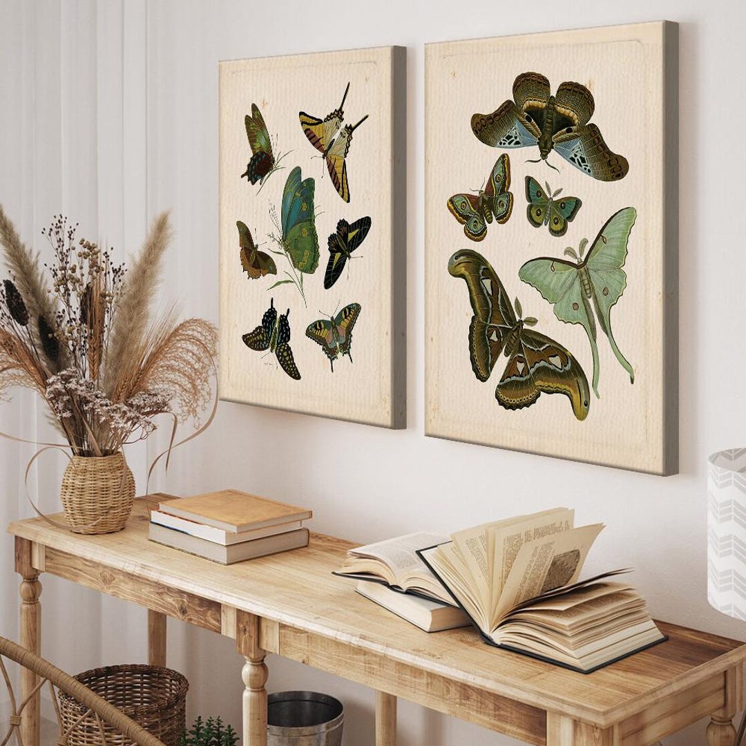 Vintage Butterfly Wall Art Set of 2 — Antique Insect Illustration ...