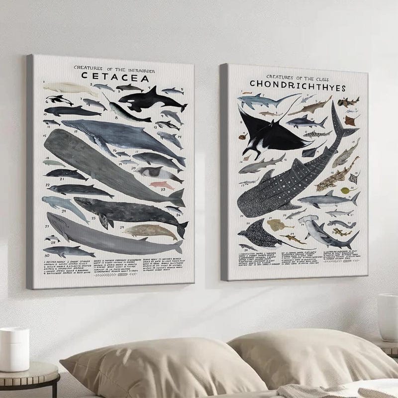 Marine Life Poster Set - Etsy