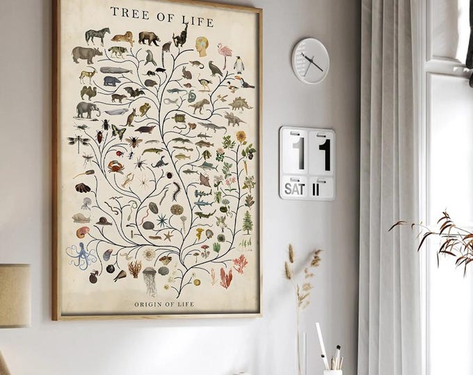 Evolutionary Biology Tree of Life Poster: Educational Nature Art - Etsy ...