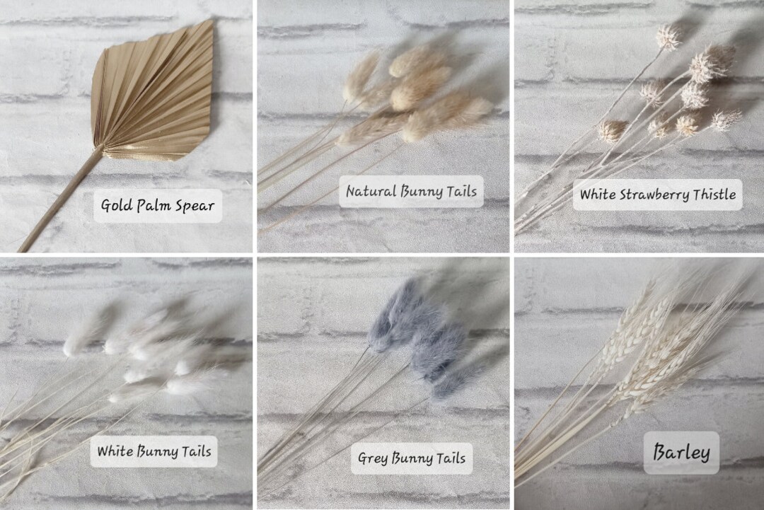 Dried Flower Stems Cake Toppers Card Making Buttonholes Crafts Resin ...