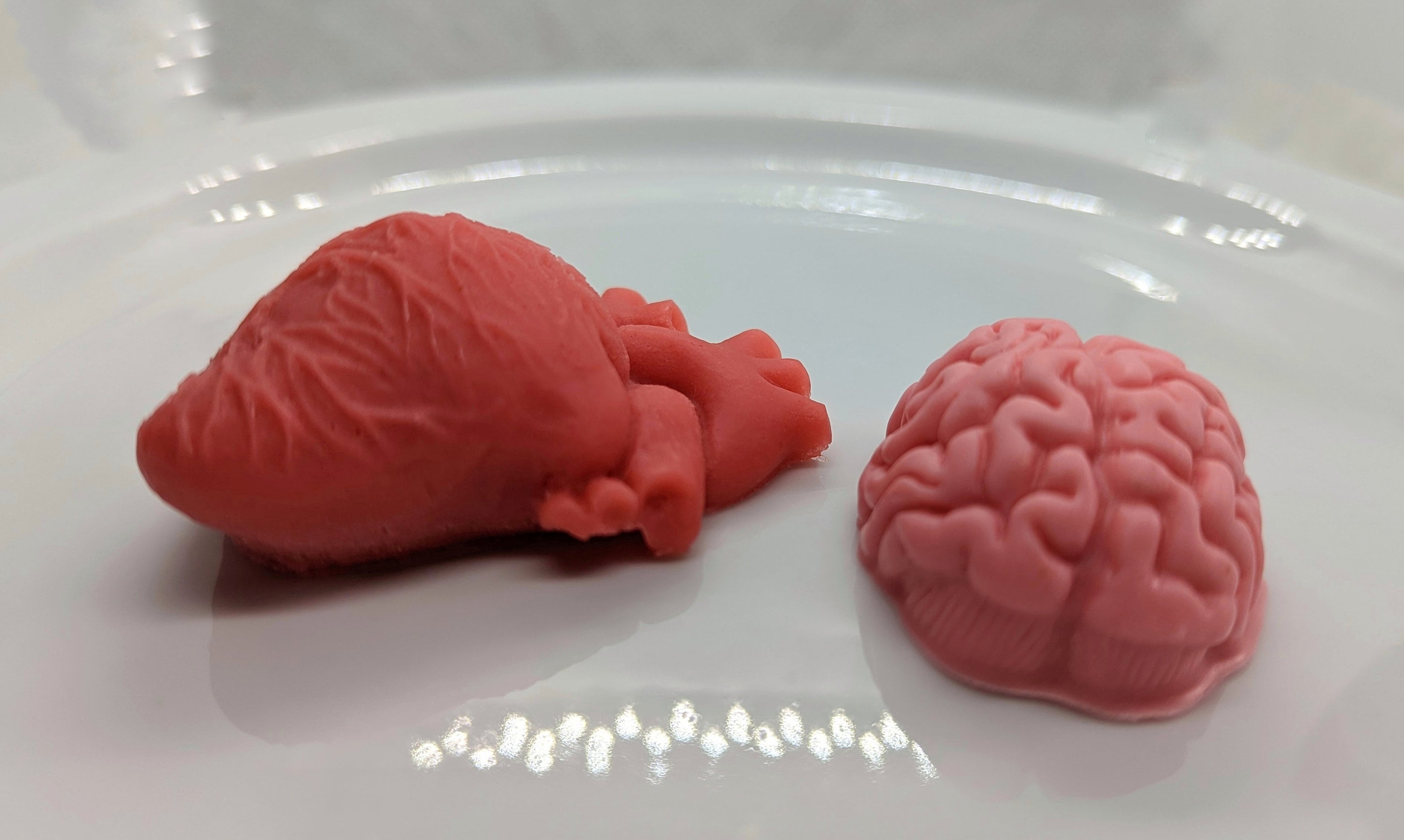 Anatomical Brain Soap ~ Human Brain Soap ~ Halloween ~ Gag Gift - Etsy