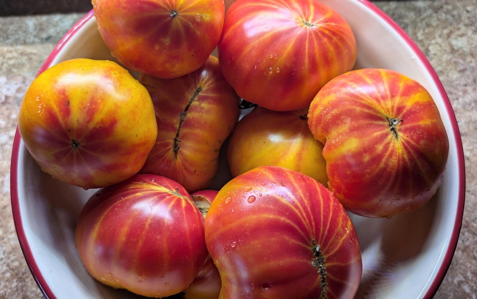 Finley River Heirloom Tomato Seeds, Organically Grown - Etsy