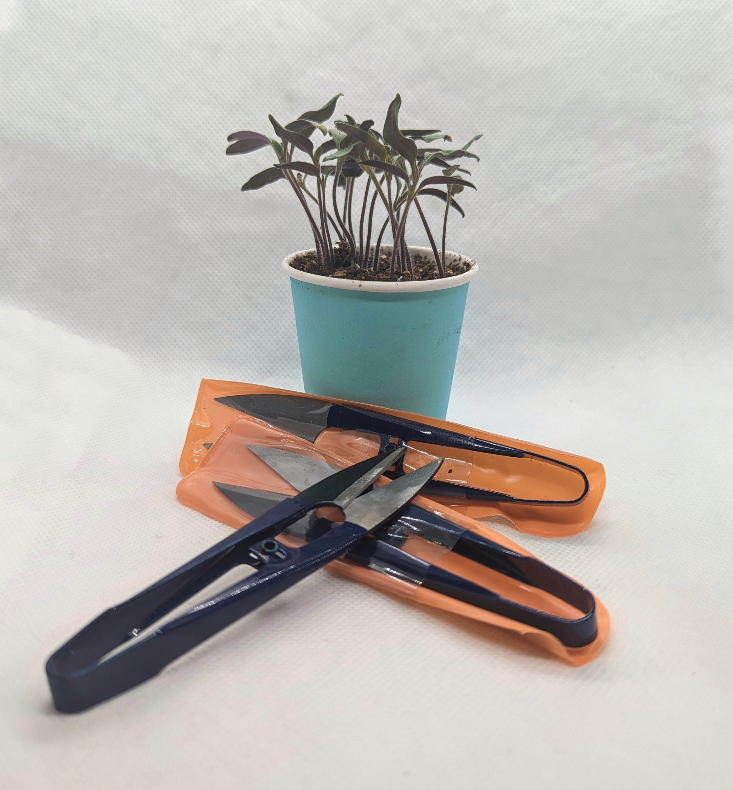 Garden Snips ~ Mini Cutters - Etsy