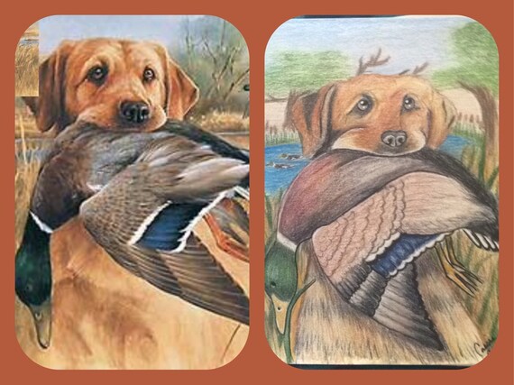 Yellow Labrador Duck Hunting