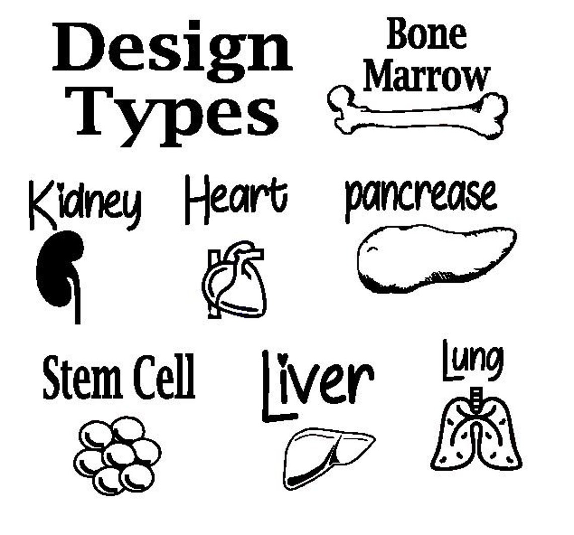 Pancreas Donor Jewelry Living Organ Donor Gift Thank You for | Etsy