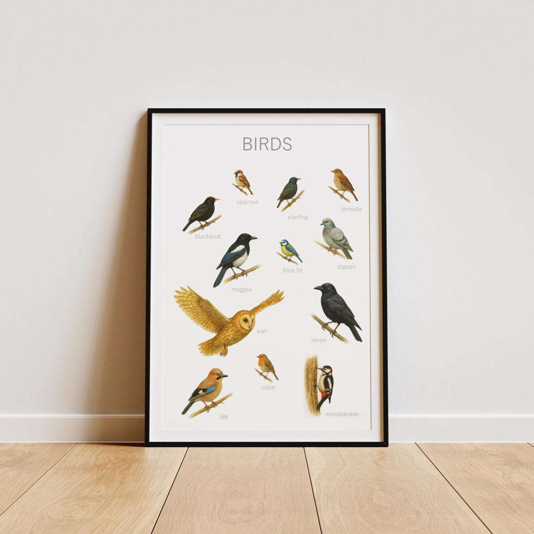 Backyard Birds Educational Poster: Montessori Nursery Decor (digital ...