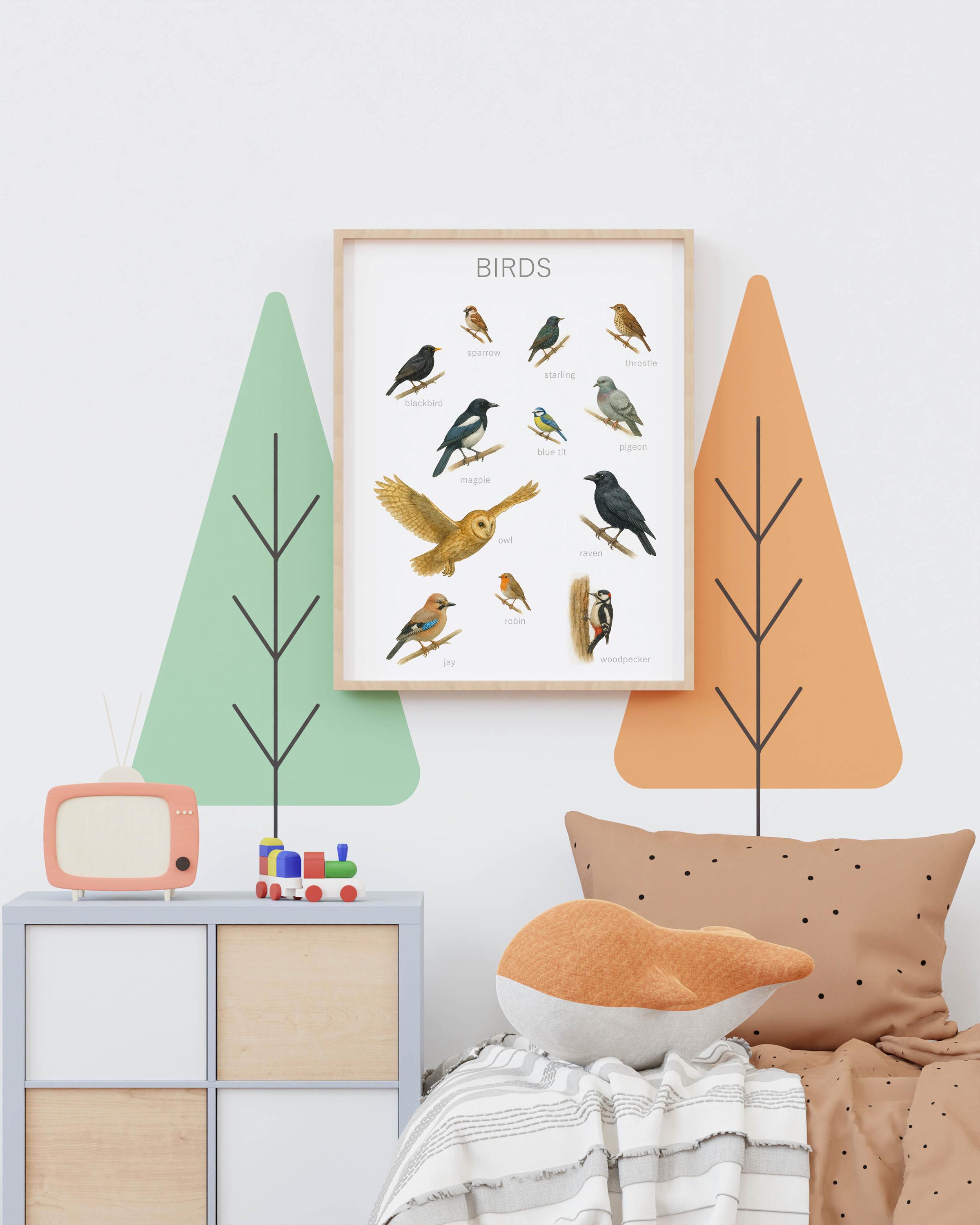 Backyard Birds Educational Poster: Montessori Nursery Decor (digital ...