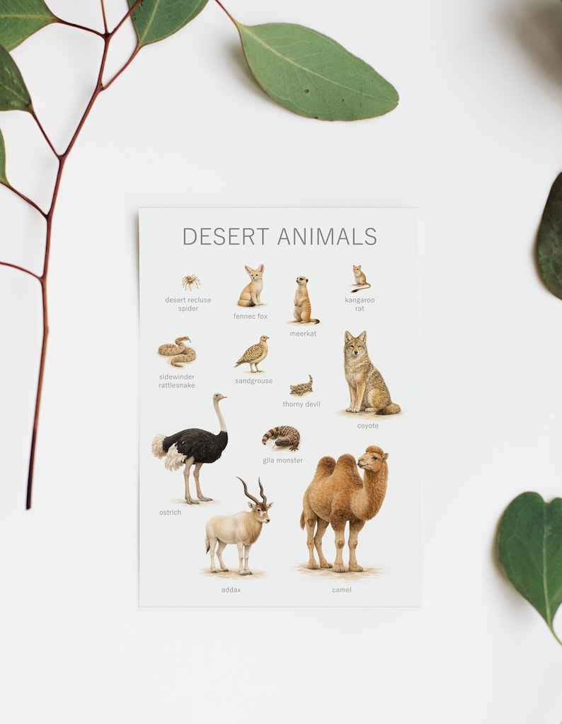 Desert Animals Educational Poster: Montessori Nursery Decor (digital ...