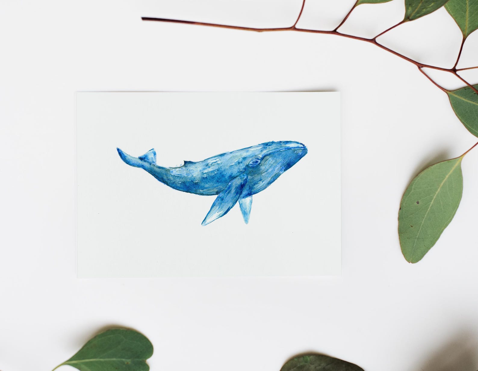 Watercolor Whale Art, Whale Poster, Children Learning, Nursery Decor ...