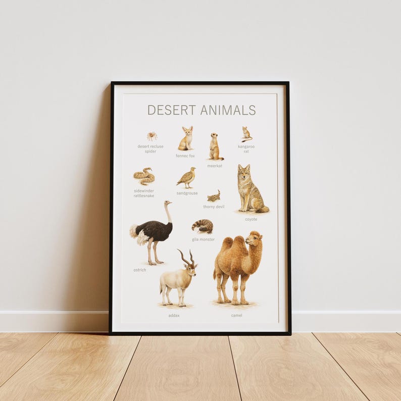 Desert Animals Educational Poster: Montessori Nursery Decor (digital ...