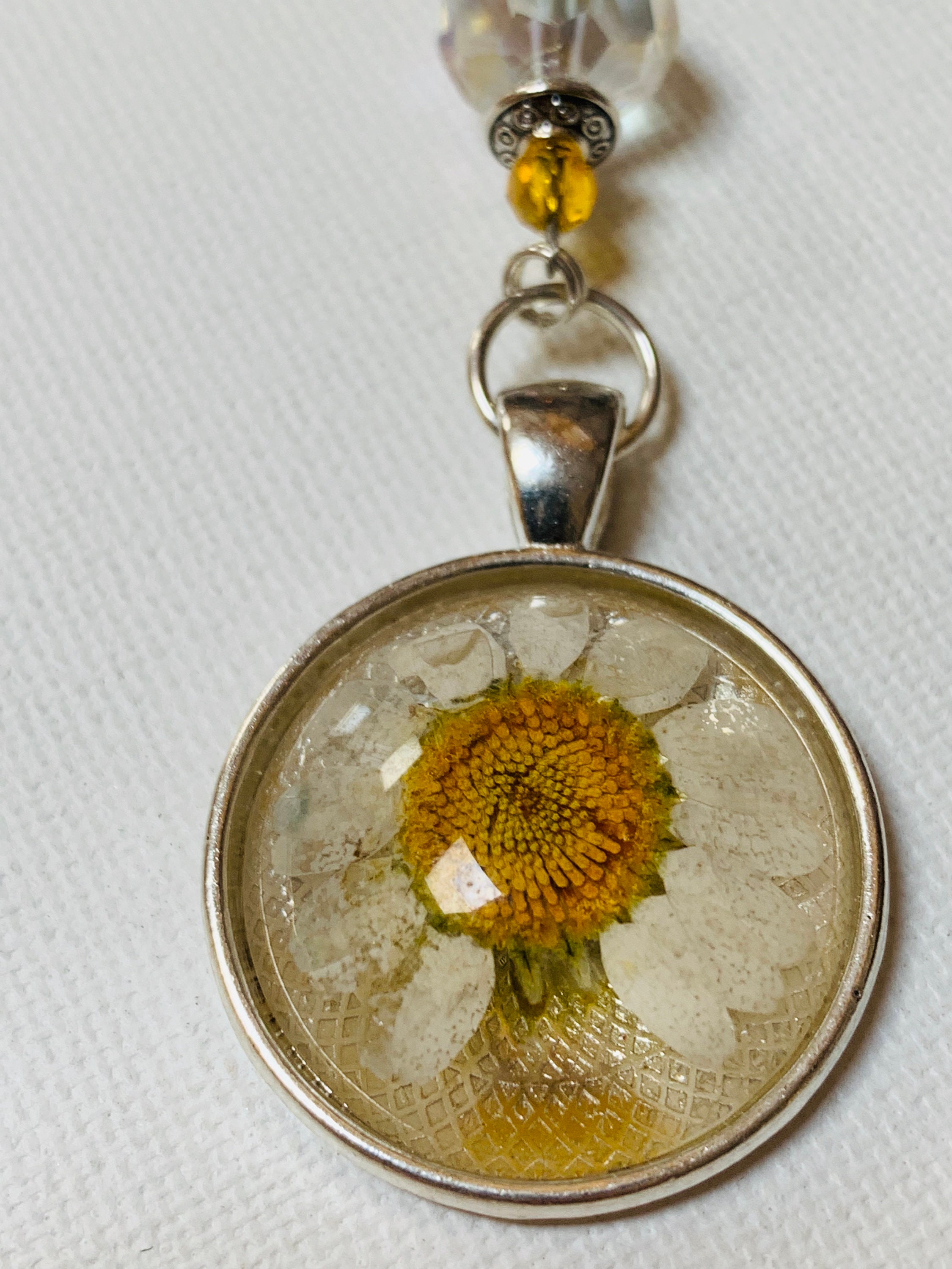DAISY FLOWER White-Yellow Infused Dried Flower 25mm Cabochon | Etsy