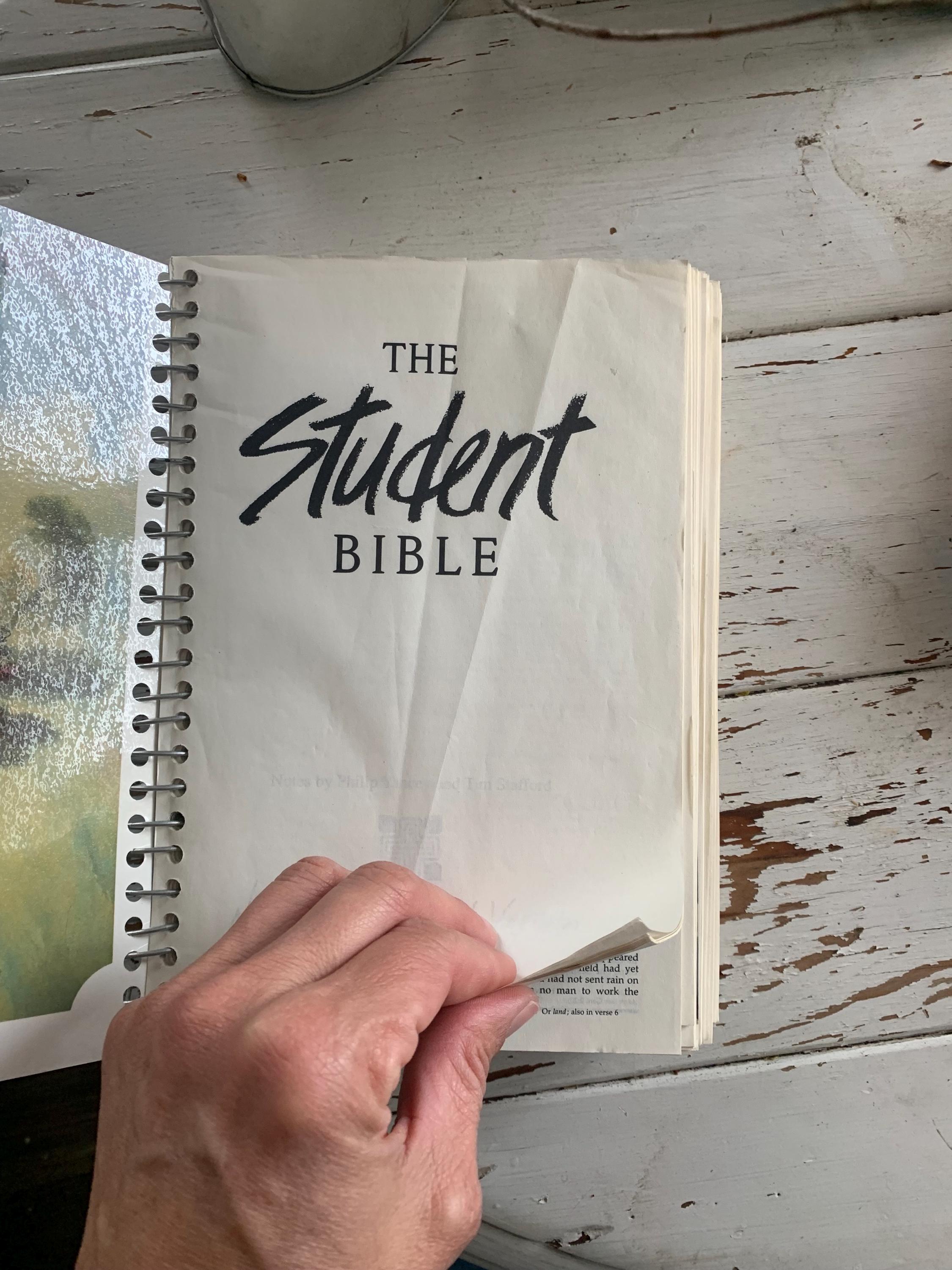 New Student Bible Spiral Bible NIV - Etsy