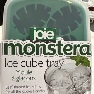 Unique Ice Cube Tray / Choose One / Bohemian Kitchen / Chocolate Mold ...