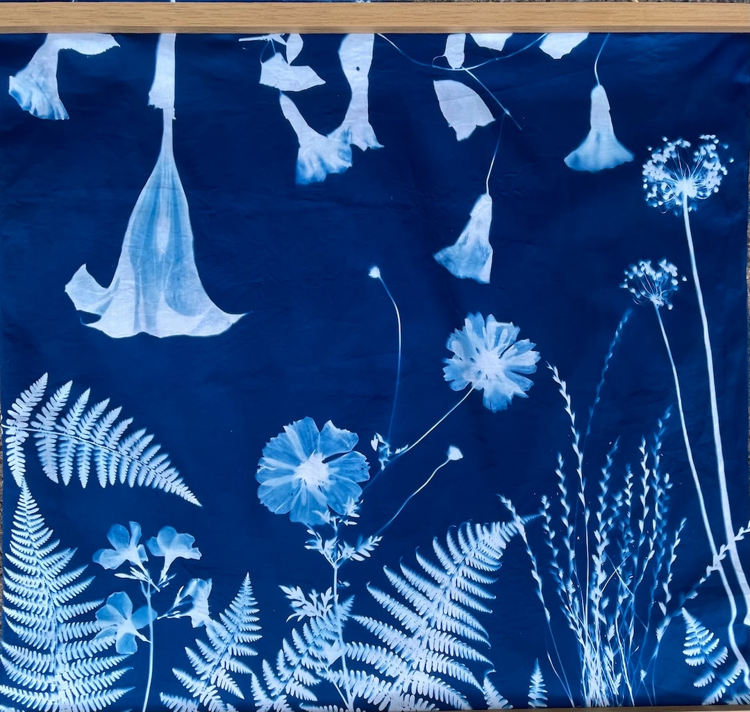 Cyanotype Wall Hanging - Etsy