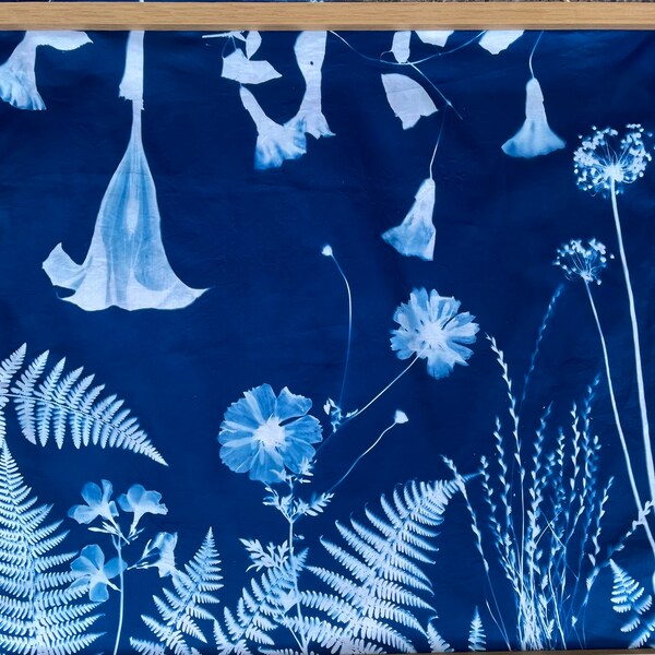 Cyanotype Kit - Etsy UK