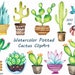Watercolor Potted Plants Clipart, Potted Cactus, Pots, Clip Art, Png ...
