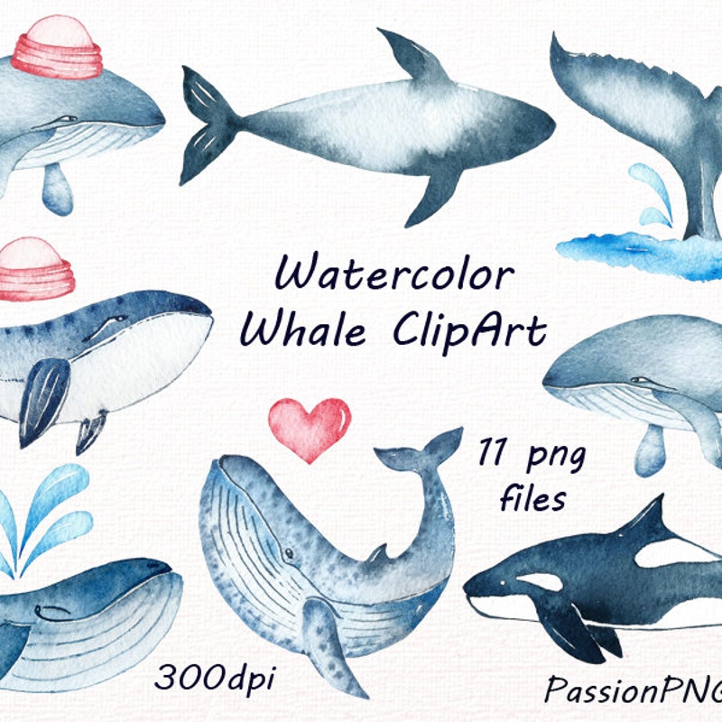 Whale Clip Art - Etsy UK