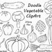Doodle Vegetable Clipart, Food, PNG,EPS, AI (vector) Clipart, Instant ...