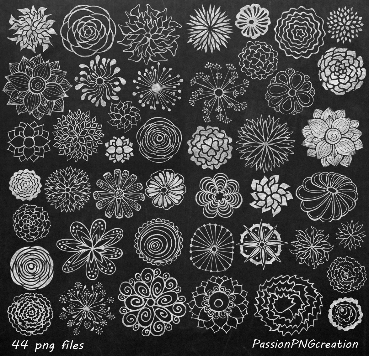 Chalkboard Flowers Clipart Set: Hand-drawn PNG Graphics (digital ...