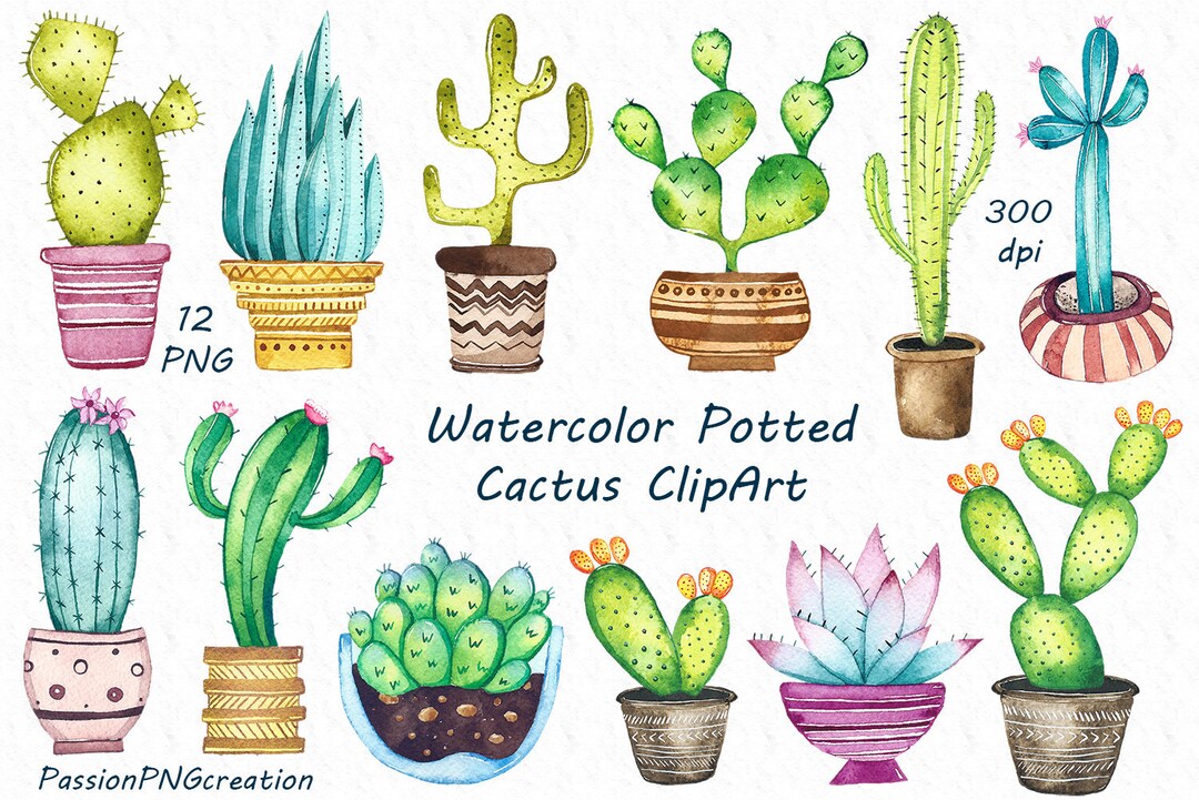 Watercolor Potted Plants Clipart, Potted Cactus, Pots, Clip Art, Png ...