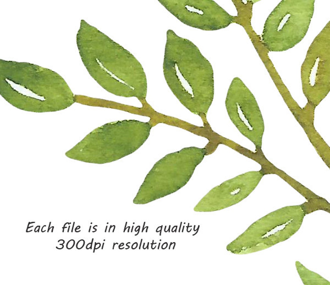 Watercolor Leaves Clipart Watercolour Clip Art Hand Painted - Etsy