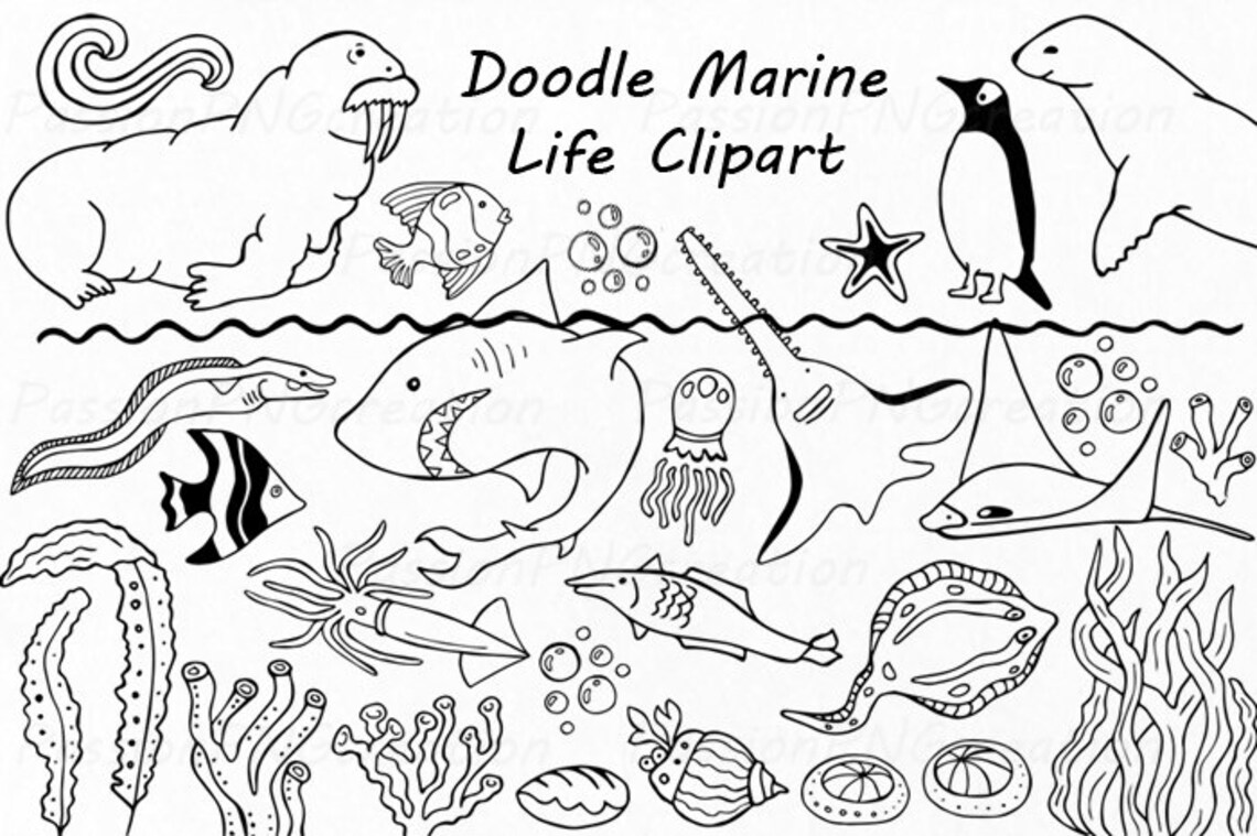 Doodle Marine Life Clipart Sea Life Clip Art Ocean Life - Etsy