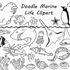 Doodle Marine Life Clipart, Sea Life Clip Art, Ocean Life, PNG, EPS ...