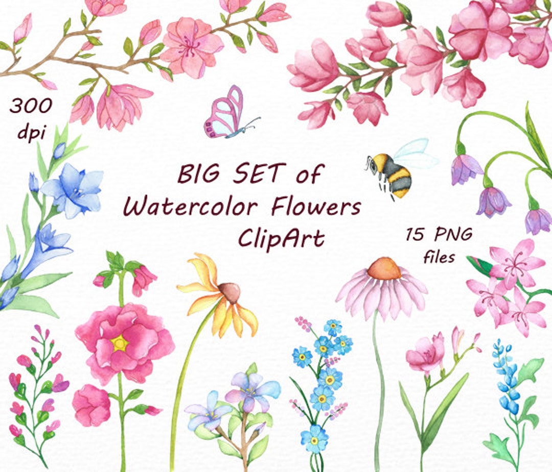 Watercolor Flowers Clipart Set: Hand-painted Floral PNG (digital ...