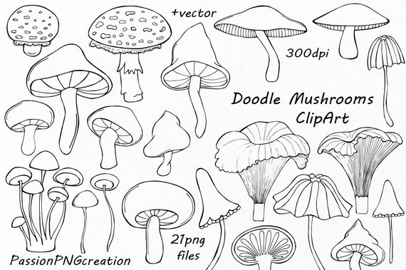 Doodle Mushrooms Clipart Digital Mushrooms Clip Art Hand - Etsy