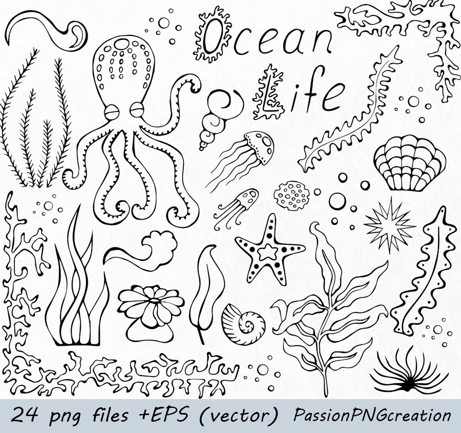 Ocean Life Clip Art PNG EPS AI Vector Doodle Clipart - Etsy Australia