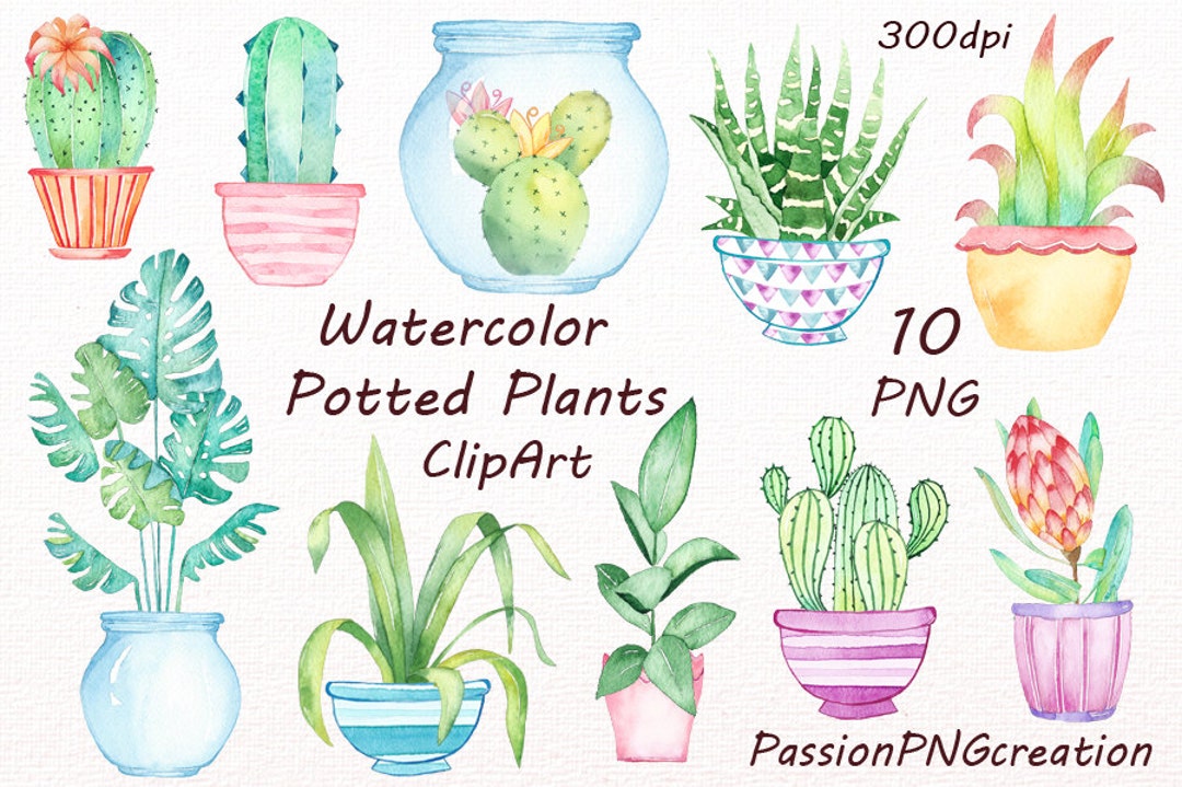 Watercolor Potted Plants Clipart, Potted Plants, Cactus, Pots, Clip Art ...