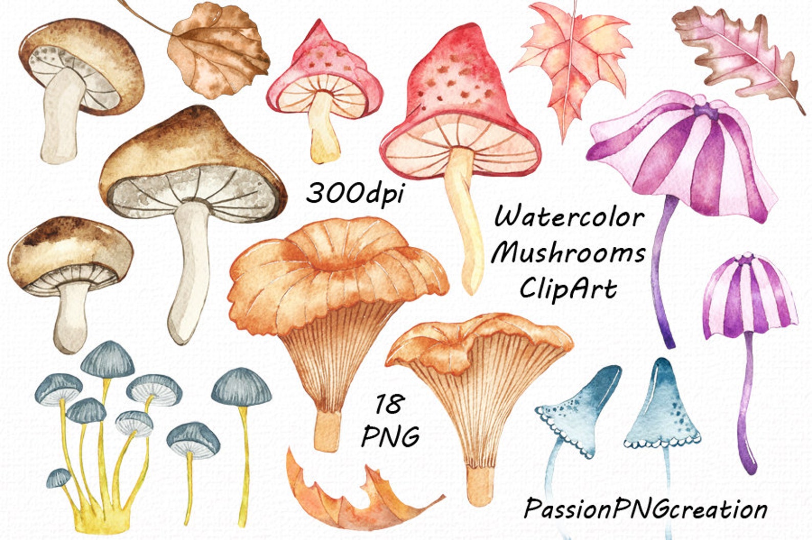 Watercolor Mushrooms Clipart Digital Mushrooms Clip Art - Etsy