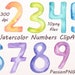 Watercolor Rainbow Set of Alphabet, Numbers, Shapes and Splotches ...
