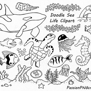 Doodle Marine Life Clipart, Sea Life Clip Art, Ocean Life, PNG, EPS ...