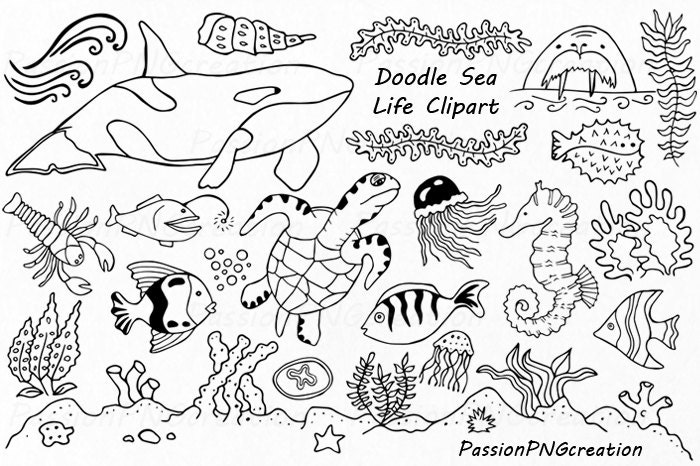 Doodle Marine Life Clipart Sea Life clip art Ocean life | Etsy