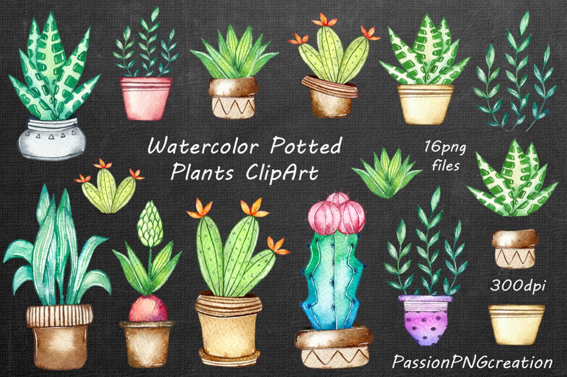 Watercolor Potted Plants Clipart Potted Plants Cactus Pots - Etsy