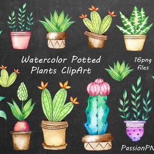 Watercolor Potted Plants Clipart, Potted Plants, Cactus, Pots, Clip Art ...