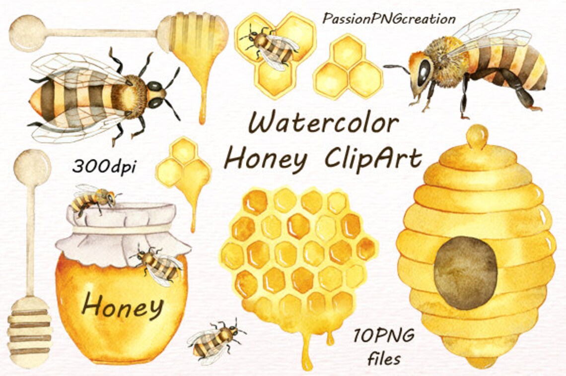 Watercolor Honey Clipart Watercolor Bee Clip Art Digital - Etsy