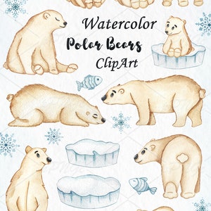 Watercolor Polar Bears Clipart, White Bears Clipart, Baby Bears, Cute ...