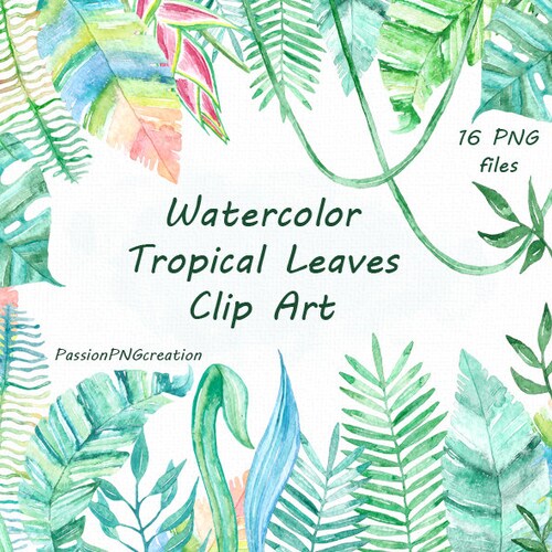Watercolor Tropical Leaves Clip Art Handpainted Clipart PNG - Etsy
