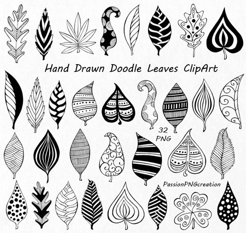 Hand Drawn Doodle Leaves Clipart Leaves Silhouette PNG EPS - Etsy